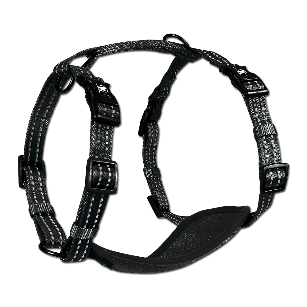 adventure harnesses – alcott