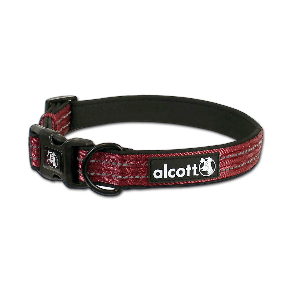 Adventure Collars | Padded & Reflective Nylon Dog Collar | alcott